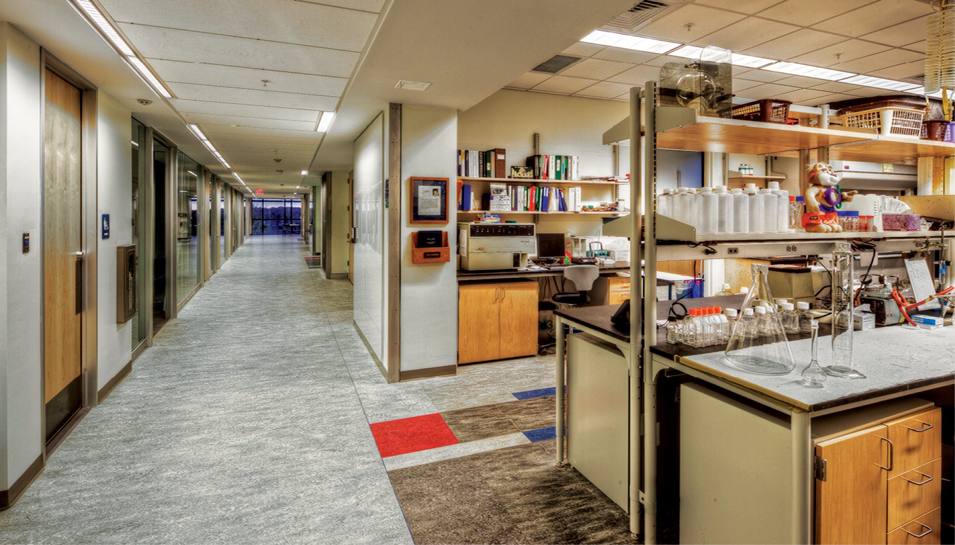 Bigelow Laboratory for Ocean Sciences - WBRC Inc.