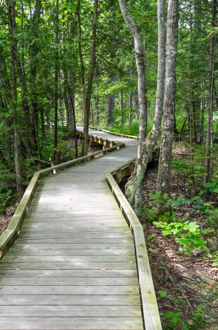 Indian Island Trails and Boat Pavilion - WBRC Inc