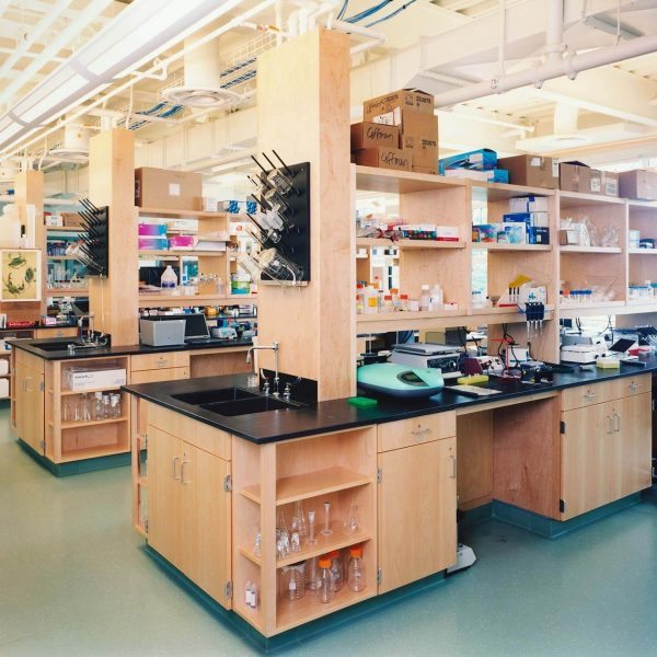 MDI Biological Laboratory - WBRC Inc.